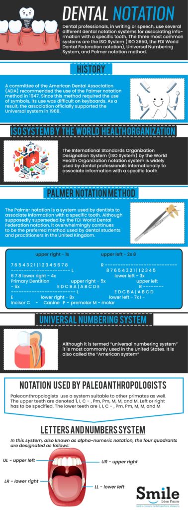 General Dentistry Concepts : Dental Notation | Smile Eden Prairie